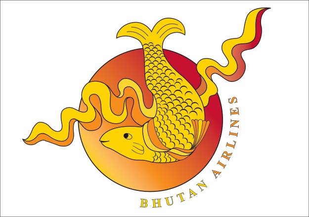 Bhutan Airlines acquires its first Airbus A319 | World Airline News