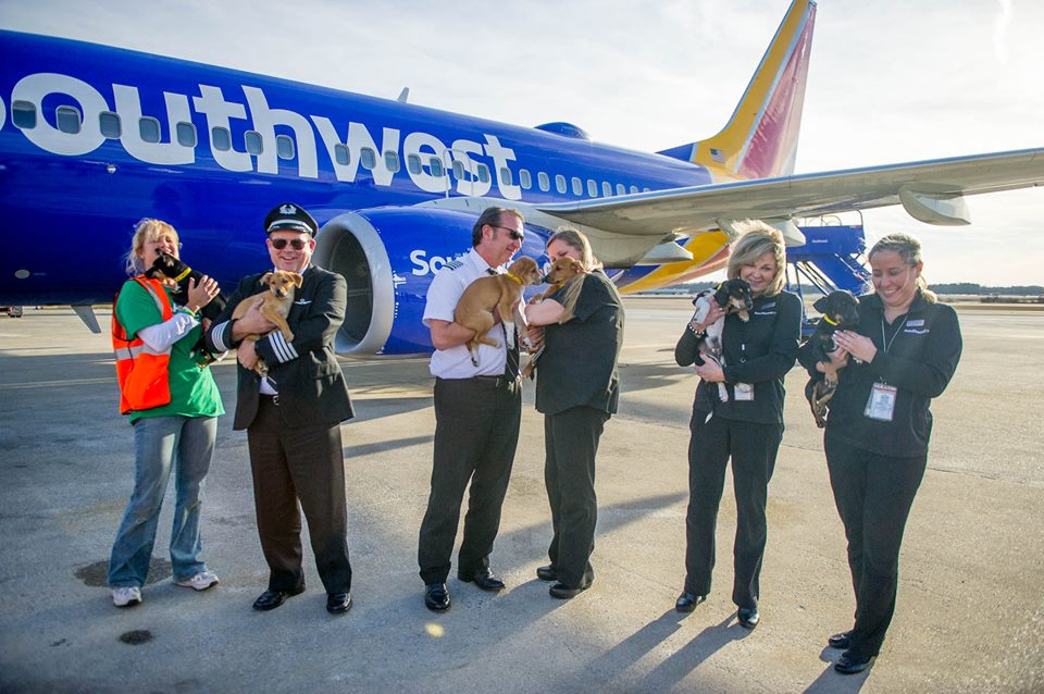 Southwest Airlines employees earn $544 million in 2018 profit sharing ...