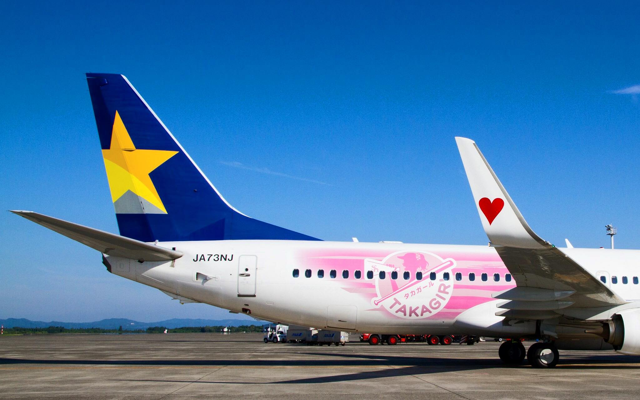 Skymark Airlines | World Airline News