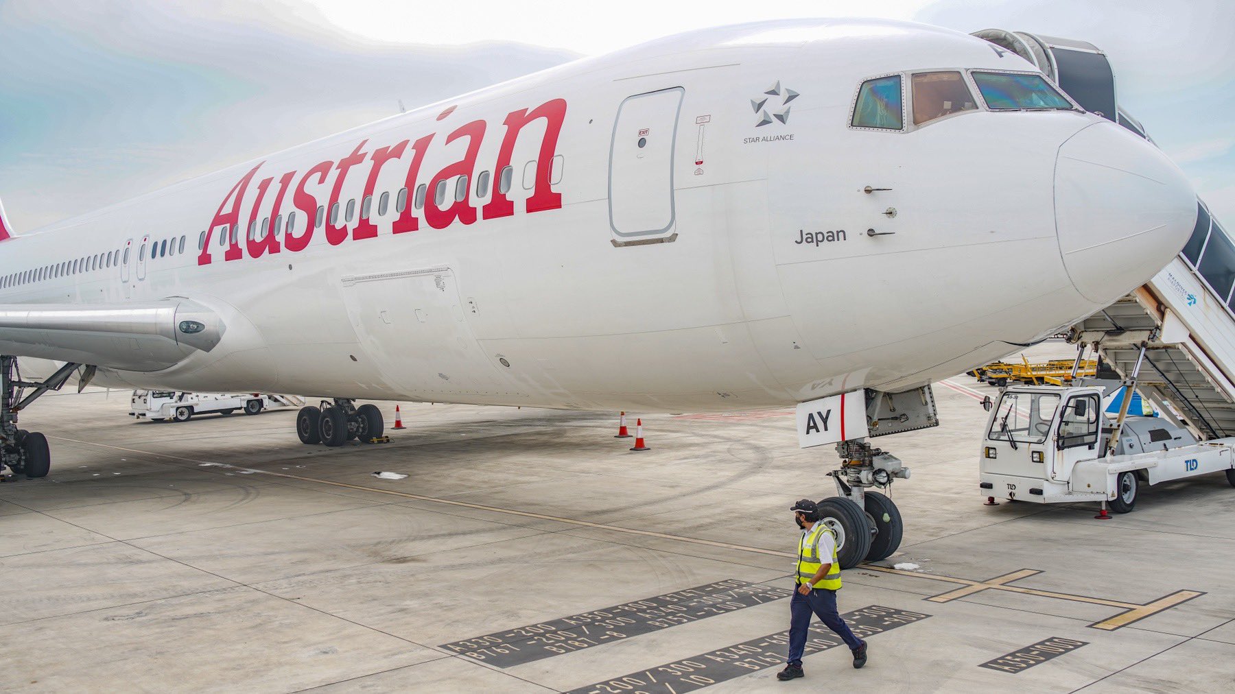 Austrian Airlines slowly increases flight schedule for the summer, will ...